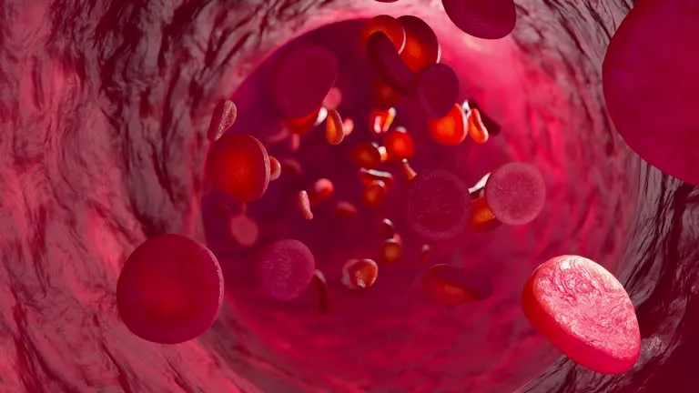 How to increase hemoglobin Quickly