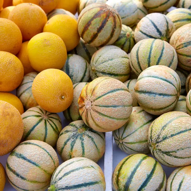 Muskmelon nutrition benefits
