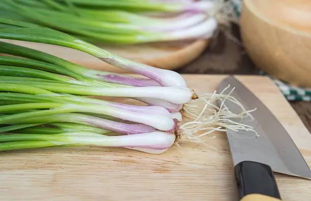 Top 10 Benefits of Spring Onion