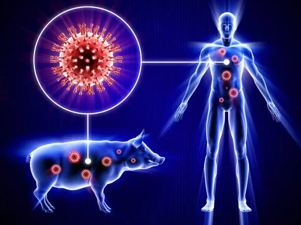 Swine flu precautions and treatment