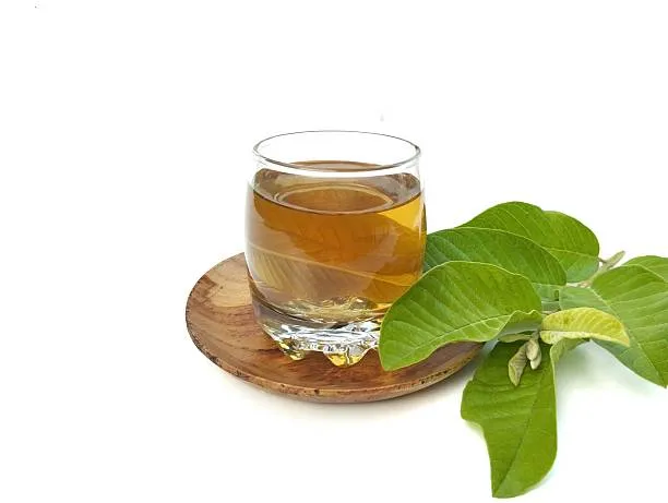 guava leaf tea for sharp eyes